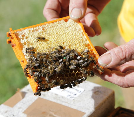 Nauders on the Reschen Pass | Holidays in Tyrol, Austria