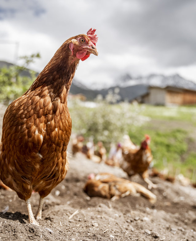 Nauders on the Reschen Pass | Holidays in Tyrol, Austria