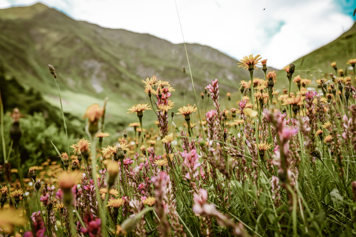 Holiday fun in Tyrol | Nauders